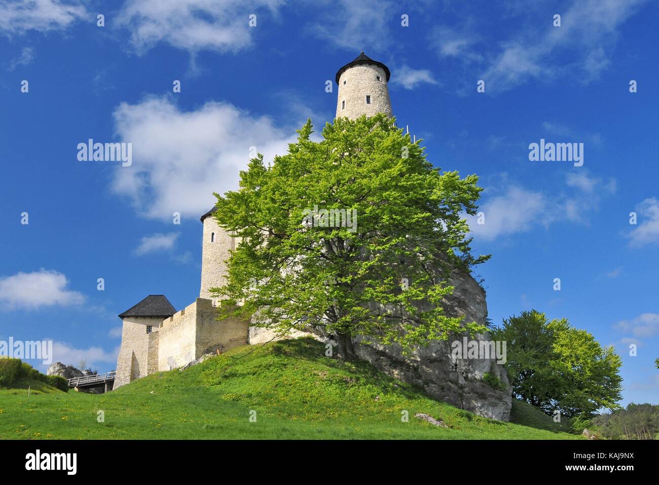 Bobolice Castle, 14th century royal castle in the village of Bobolice ...