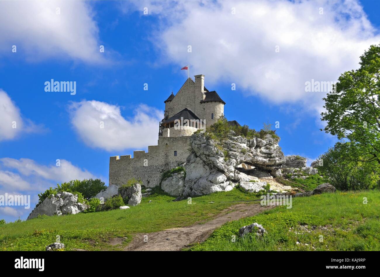 Bobolice Castle, 14th century royal castle in the village of Bobolice ...