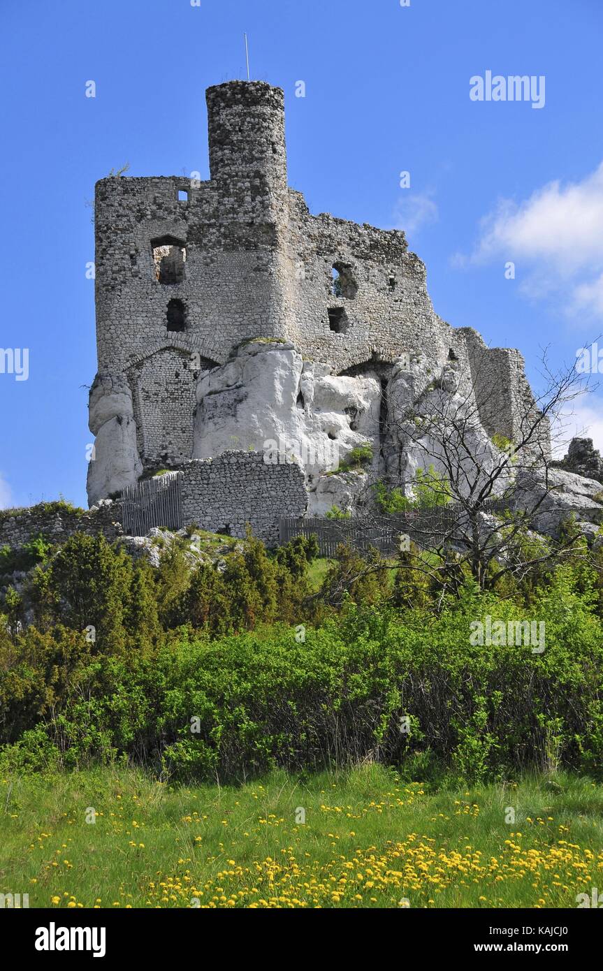 Ruins of 14th century castle located in the Mirow village, Silesian ...