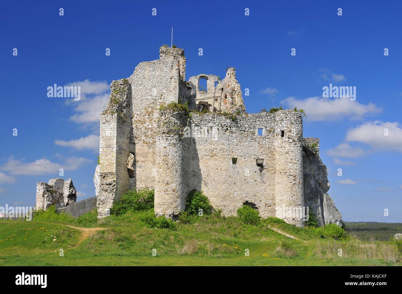 Ruins of 14th century castle located in the Mirow village, Silesian ...