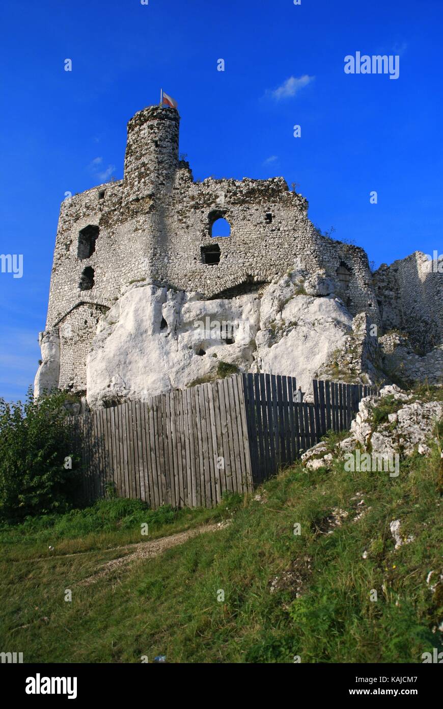 Ruins of 14th century castle located in the Mirow village, Silesian ...