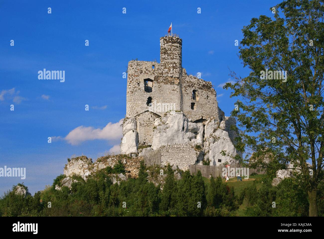 Ruins of 14th century castle located in the Mirow village, Silesian ...