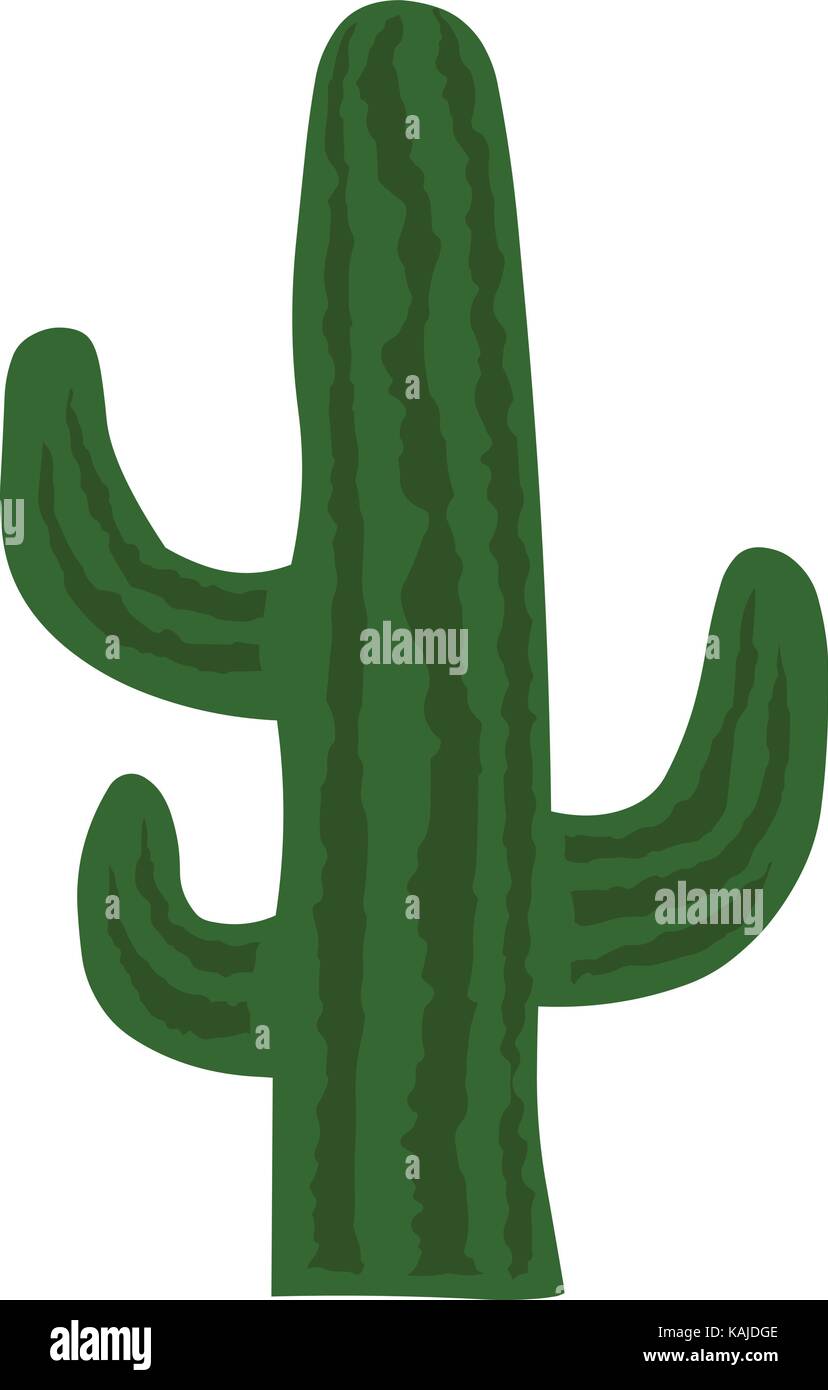 Vector graphic of a cactus Stock Vector Image & Art - Alamy