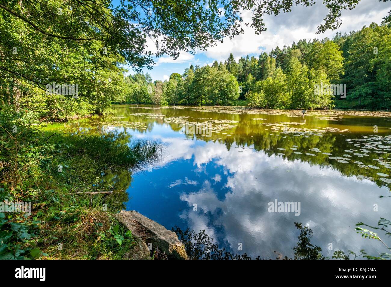 Wiele - village in Pomeranian Voivodeship, Poland. Cieple lake Stock ...