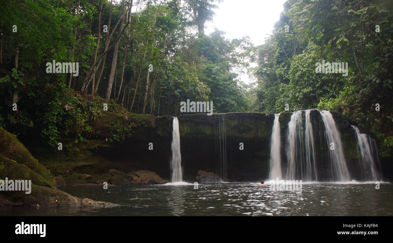 Carachupa hi-res stock photography and images - Alamy