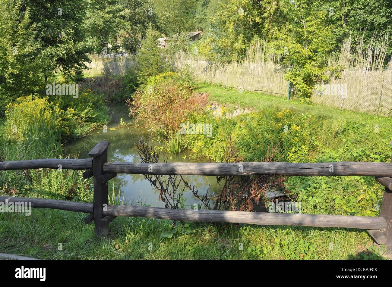 Jurassic Park in Baltow, Swietokrzyskie Voivodeship, Poland Stock Photo ...