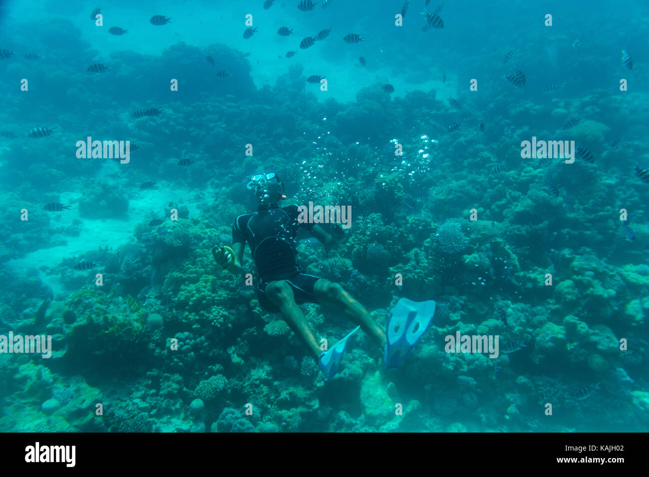 The man floats under water on coral reefs Stock Photo - Alamy
