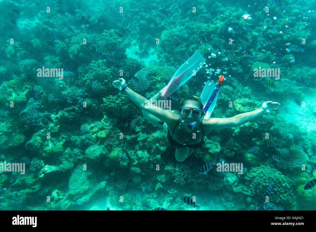 The girl floats under water on coral reefs Stock Photo - Alamy