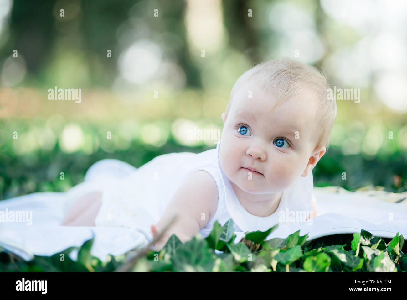 baby girl 8 months old portrait outdoors in sunlight Stock Photo - Alamy