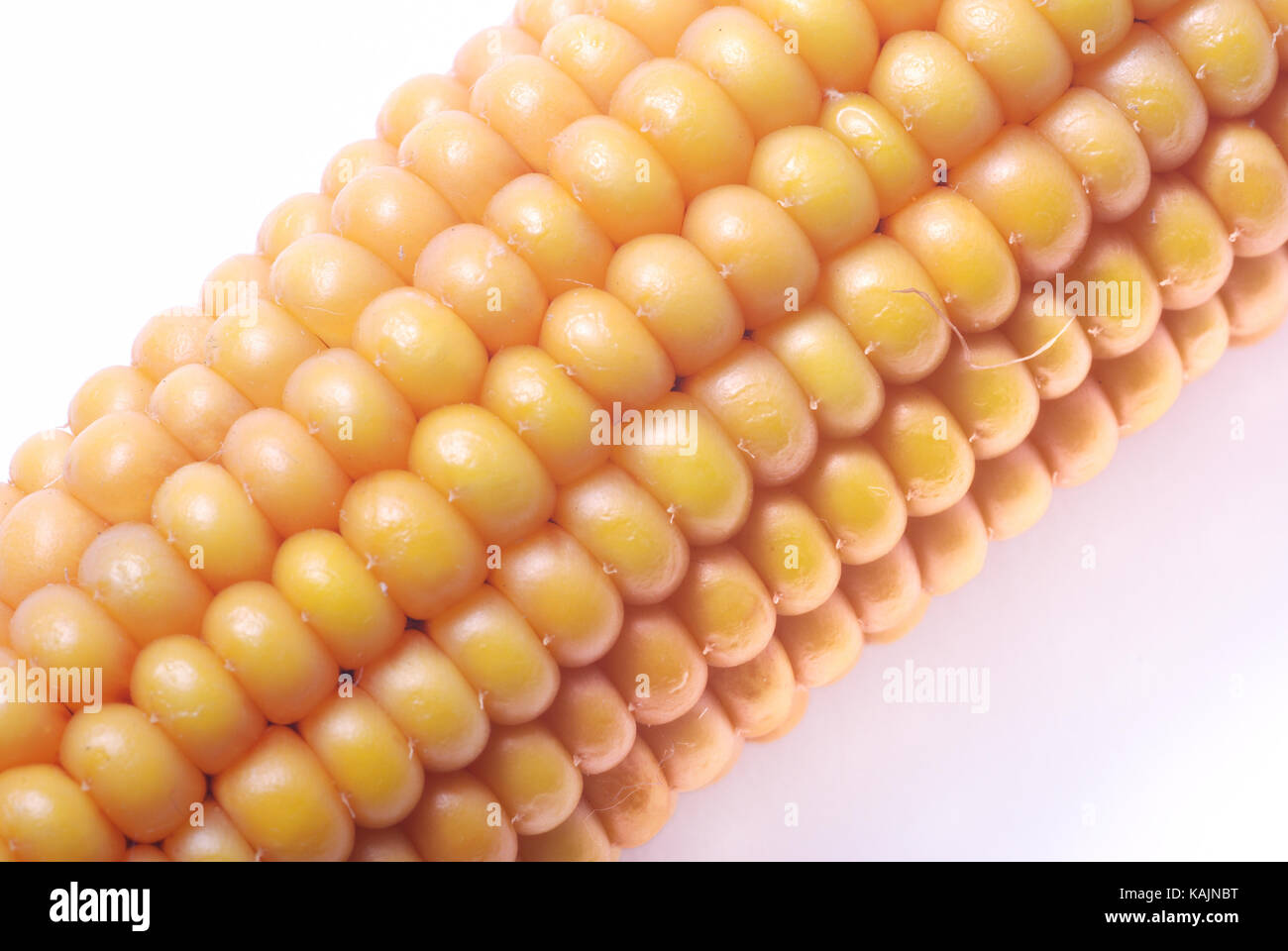 An ear of ripe corn Stock Photo - Alamy