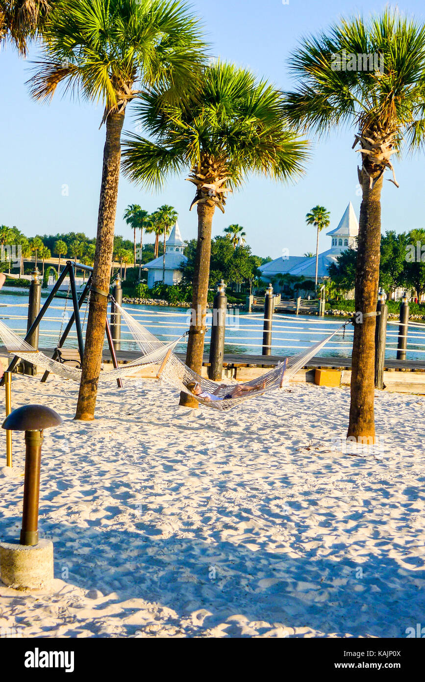 Idyllic sandy beach with palm trees and a hammock in Florida USA Stock ...
