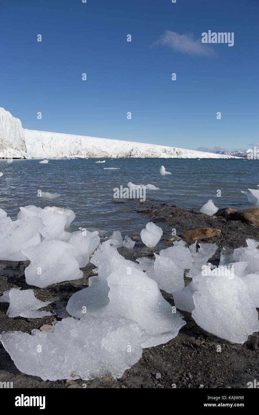 Pieces of ice on beach and in the water, next to a glacier, on the ...