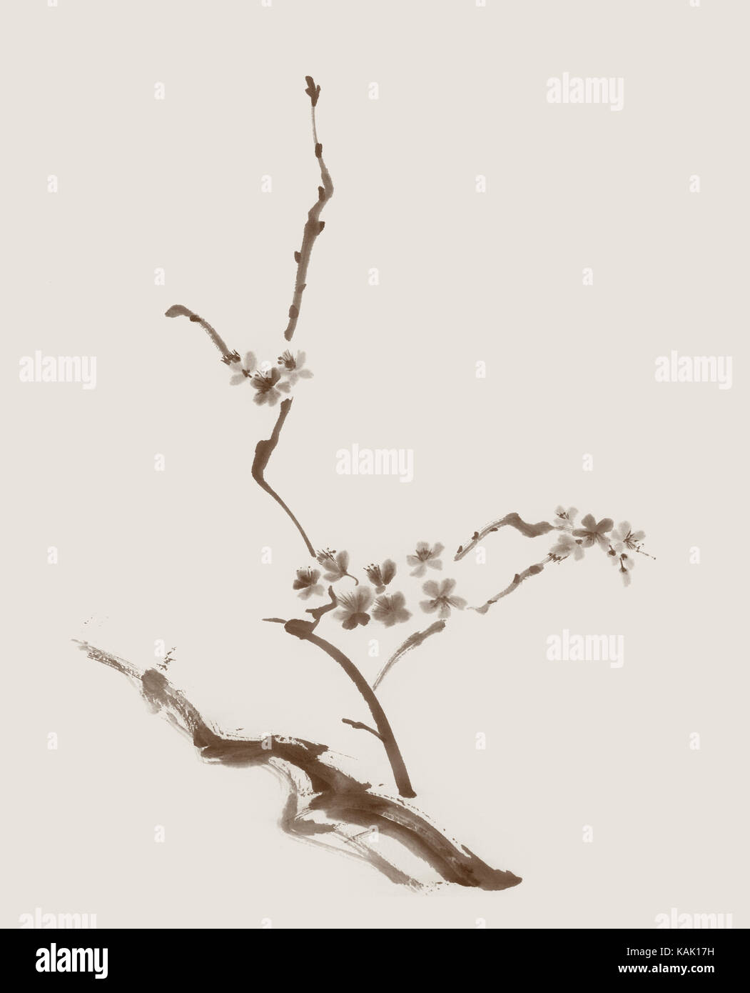 Sumi e painting cherry blossom hi-res stock photography and images - Alamy