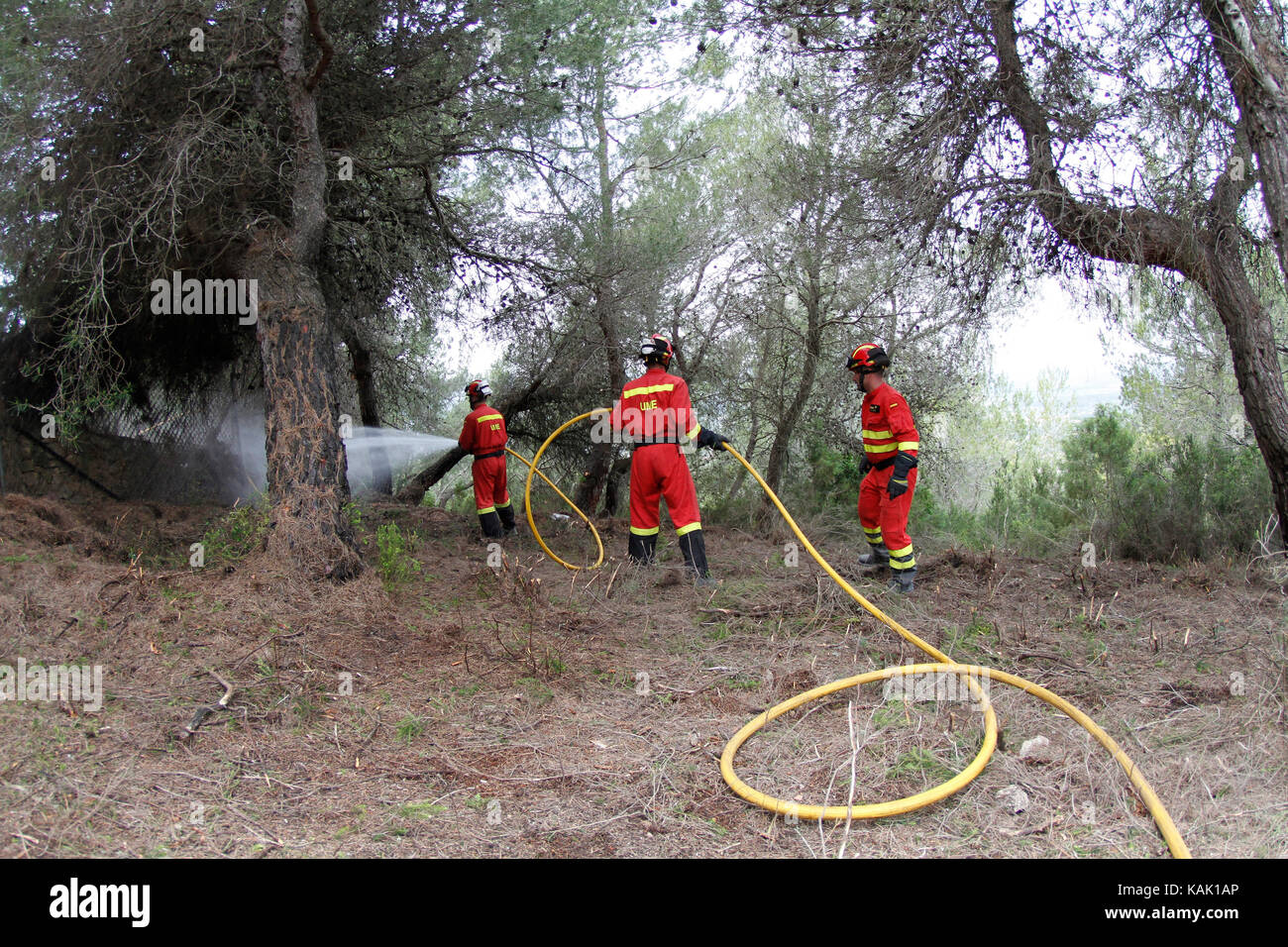 Island Fire Service High Resolution Stock Photography and Images - Alamy