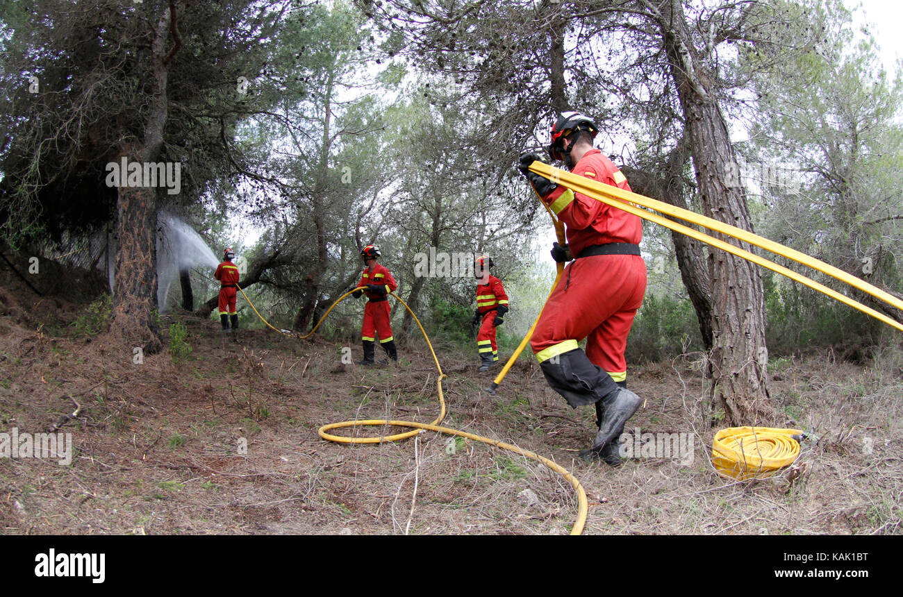firefighters during forest fire in the spanish island of Mallorca Stock ...