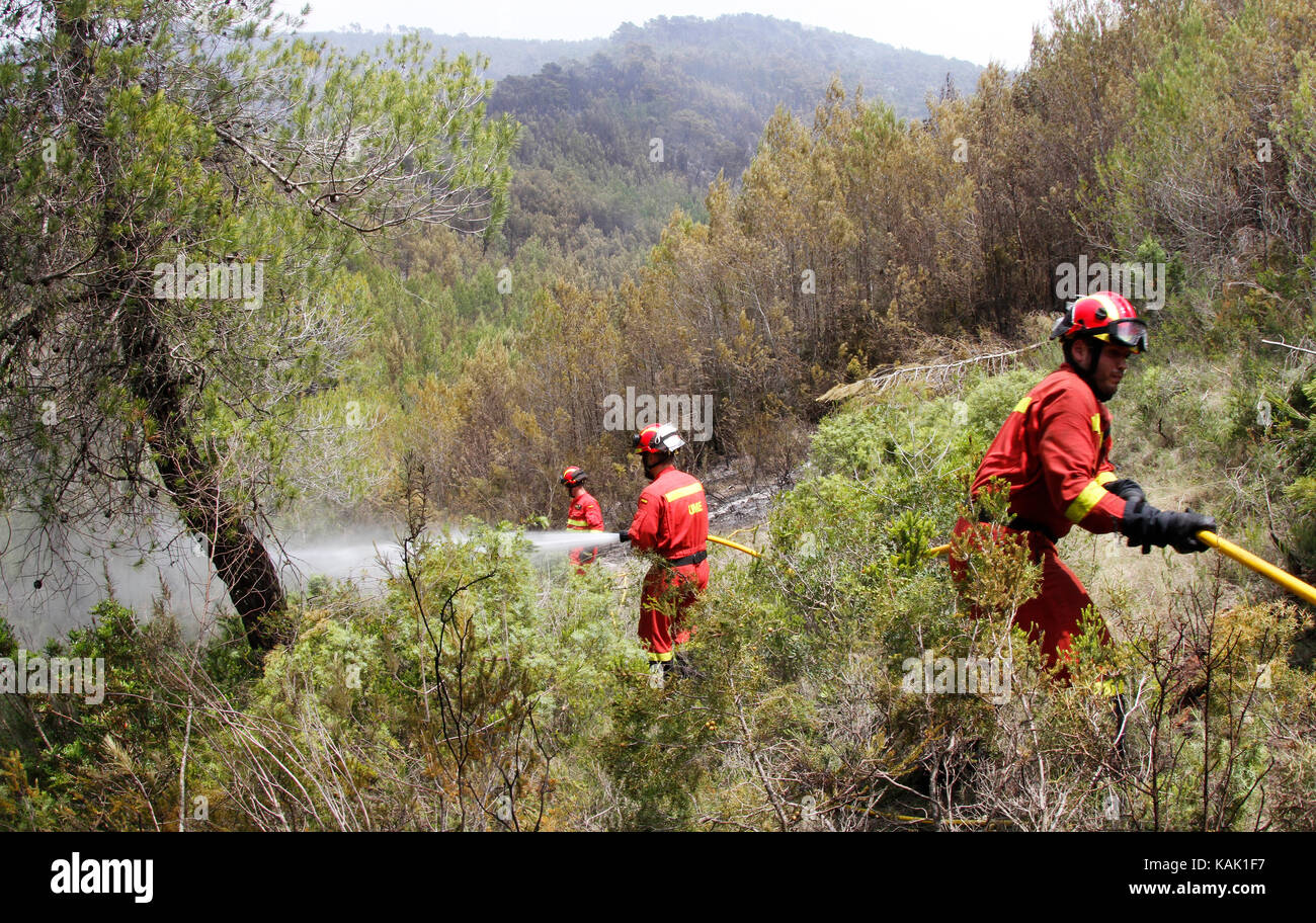 firefighters during forest fire in the spanish island of Mallorca Stock ...
