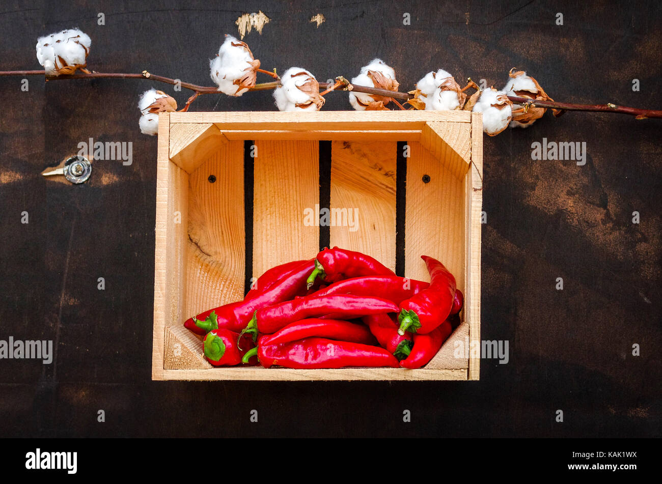 Red hot pepper in a wooden box. Pepper and cotton. Black background ...