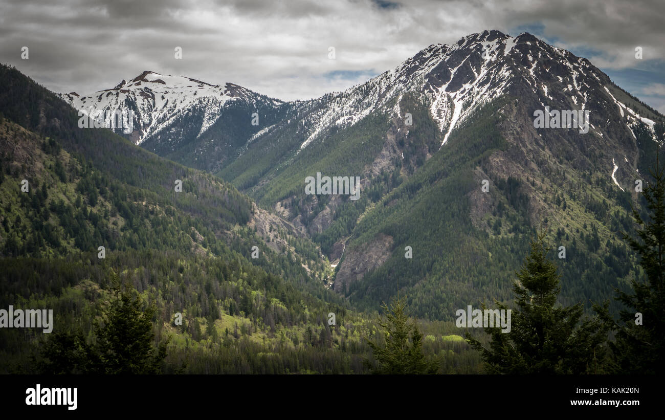 View from Leckie Creek Valley towards one of the peaks of the Eldorado ...