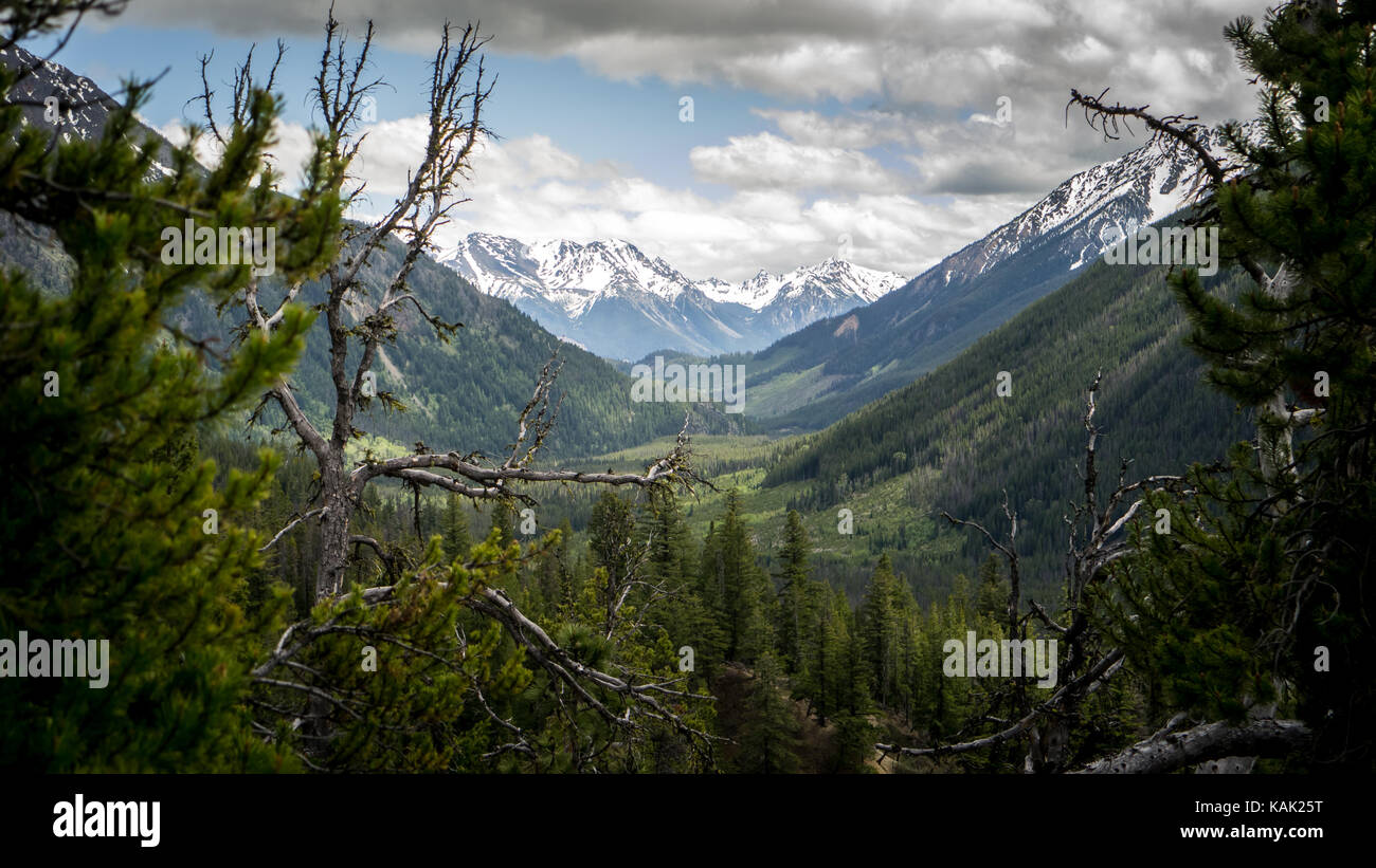 View from Leckie Creek Valley towards the Dickson and Bendor Ranges ...