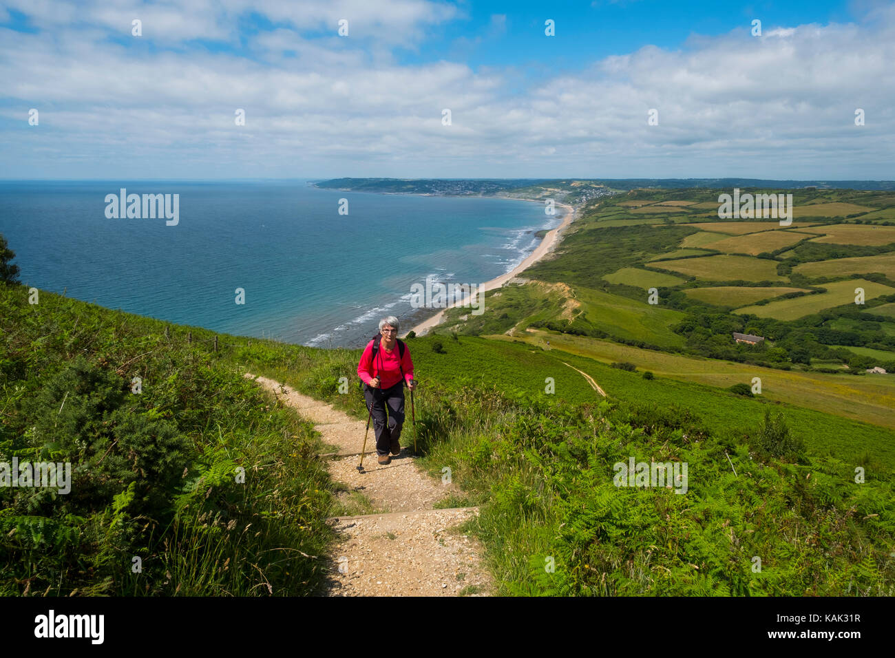 Golden cap hi-res stock photography and images - Alamy