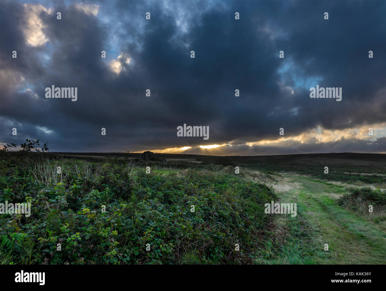 Penwith cornish moor Stock Photo - Alamy