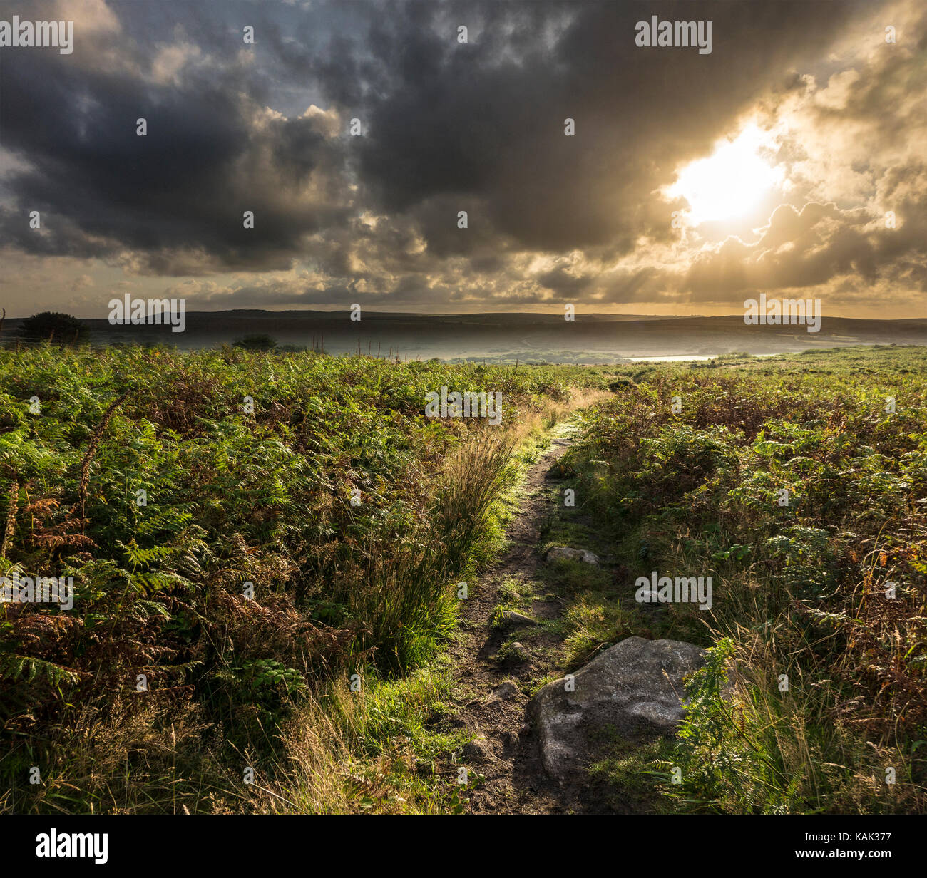 Penwith cornish moor Stock Photo - Alamy