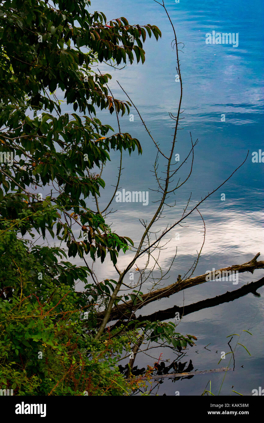 Distilled water hi-res stock photography and images - Alamy