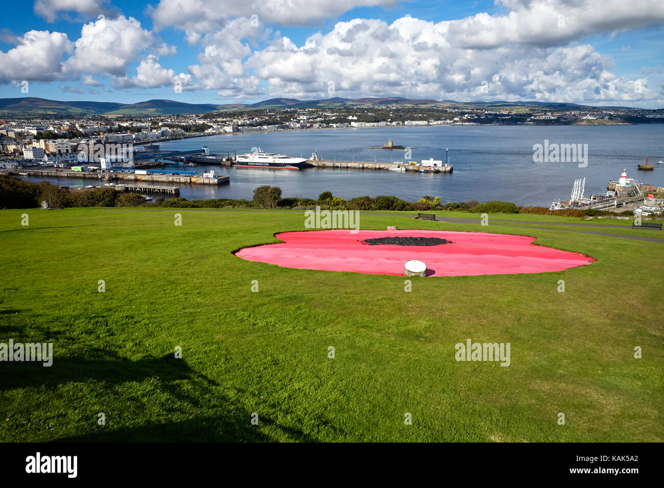Giant poppy on Douglas Head, Isle of Man Stock Photo - Alamy