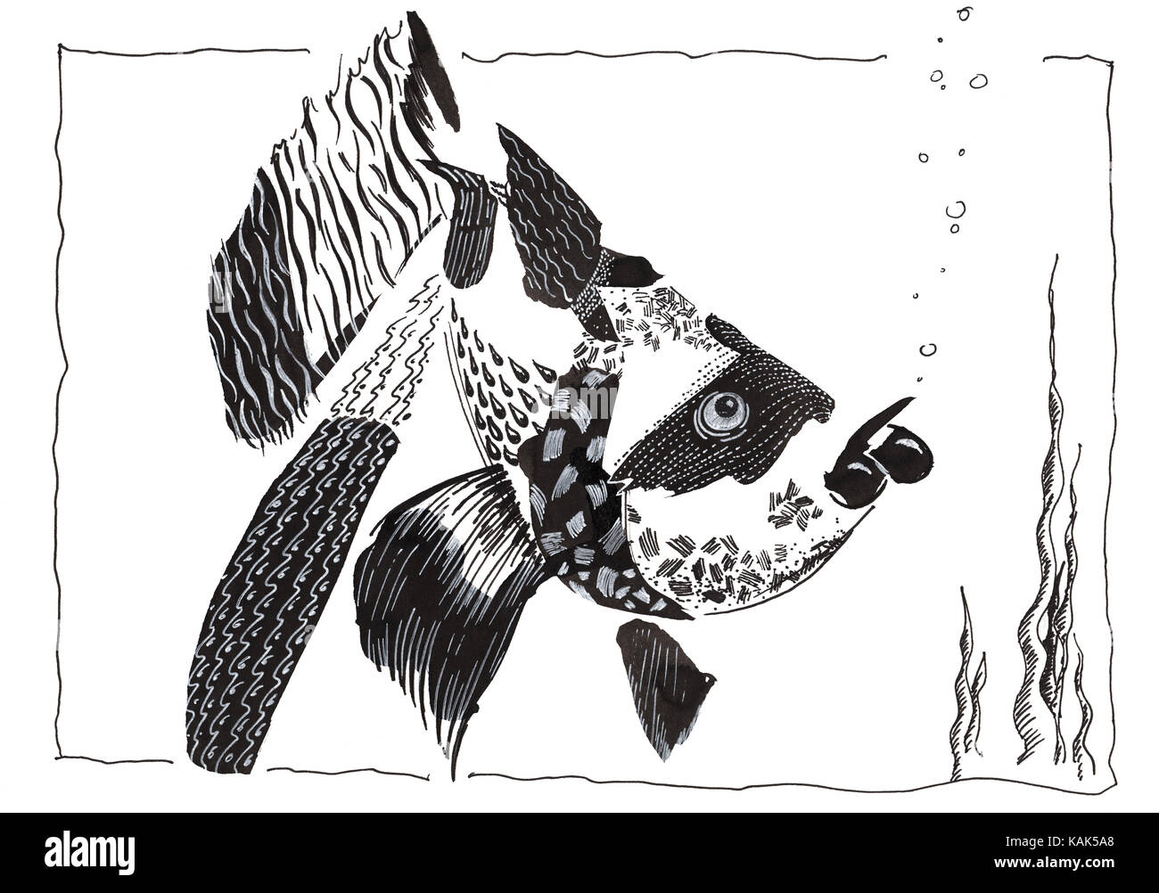 Hand drawing fun fish Stock Photo - Alamy