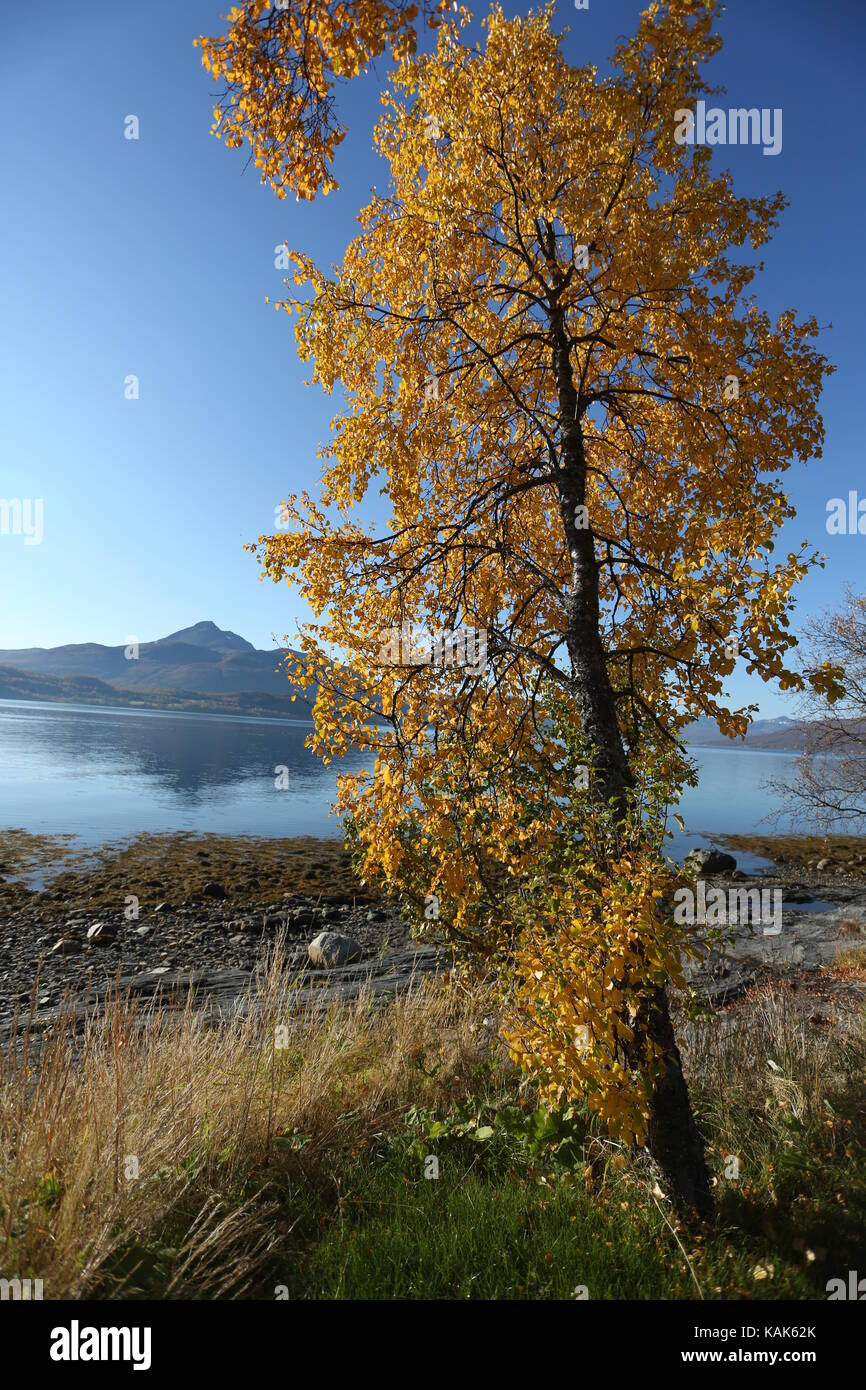 Fall Colors In Norway High Resolution Stock Photography and Images - Alamy