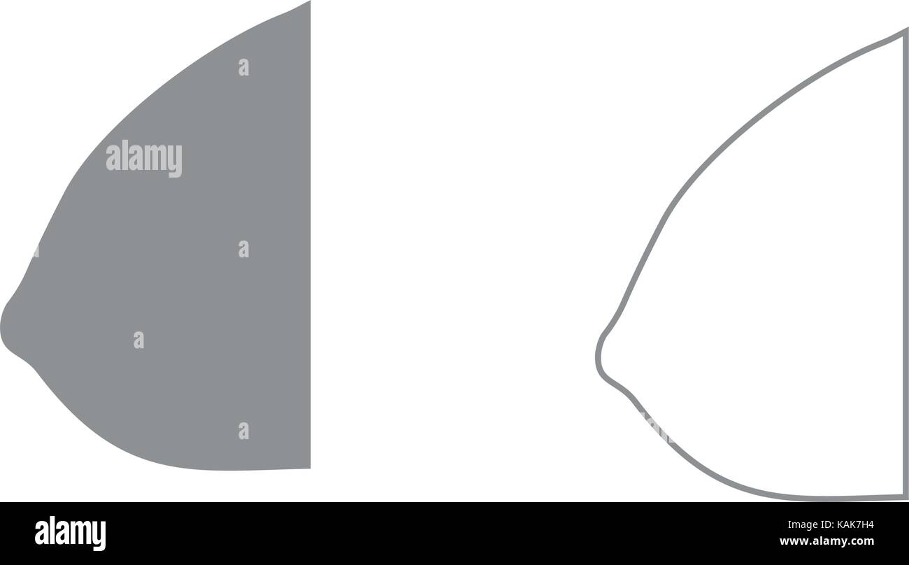 Female Chest Anatomy High Resolution Stock Photography and Images - Alamy