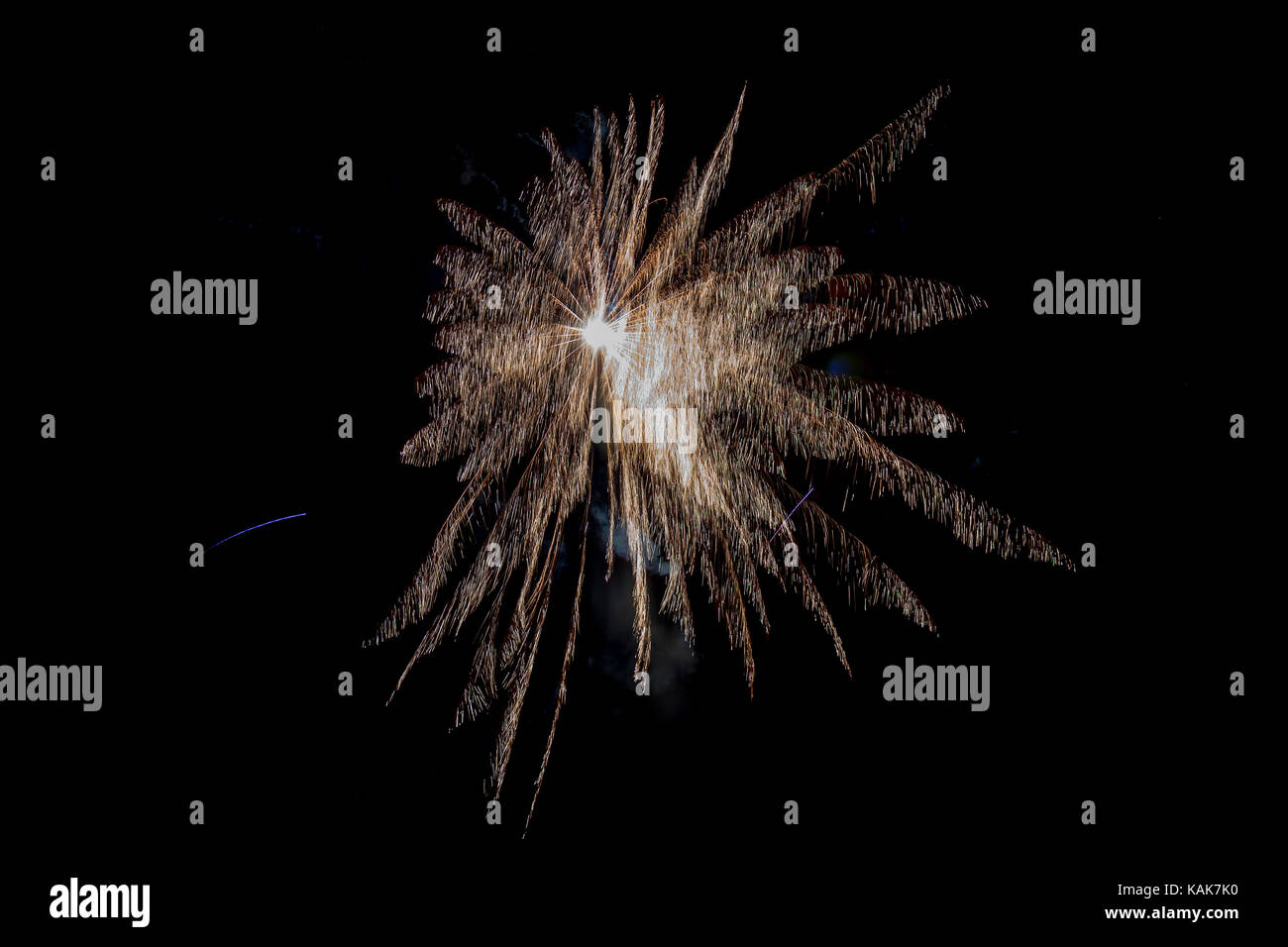 Firework at night Stock Photo - Alamy