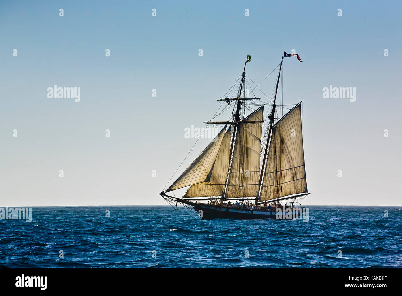 Sailor in the rigging of the Tall Ship Lynx under sail off of Dana ...