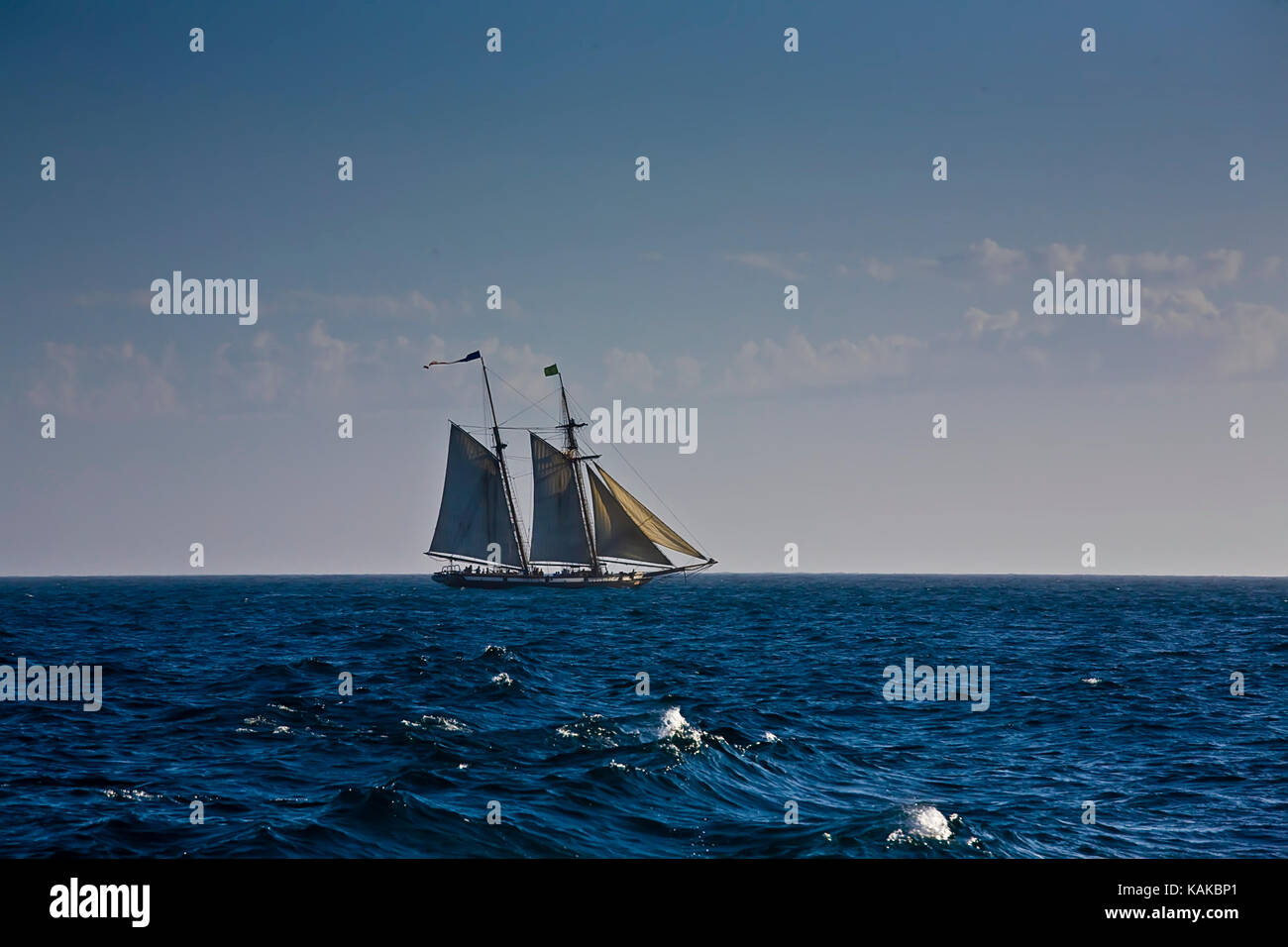 Tall Ship Lynx under sail off of Dana Point, CA US. Lynx is an ...