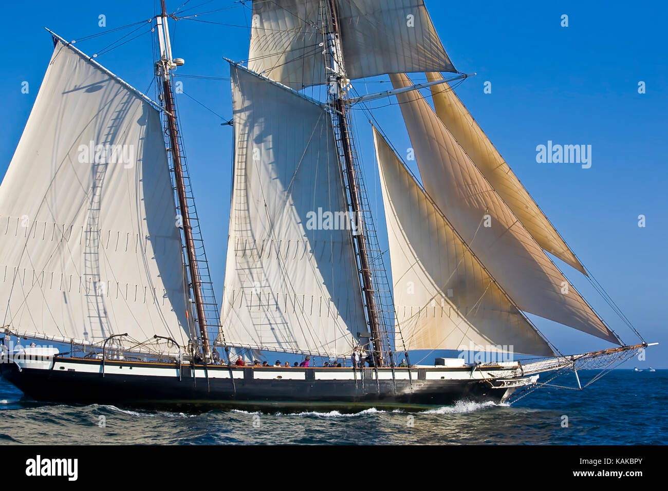 Tall Ship Lynx under sail off of Dana Point, CA US. Lynx is an ...