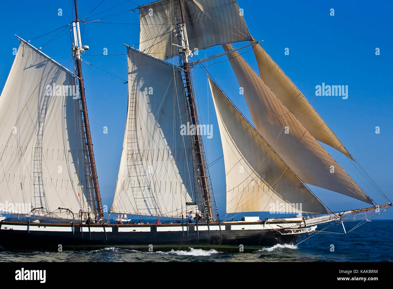 Tall Ship Lynx under sail off of Dana Point, CA US. Lynx is an ...