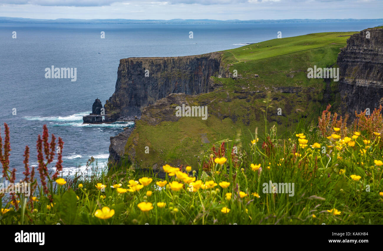 Cliffs of Moher and the Atlantic Ocean, County Clair, Ireland ...