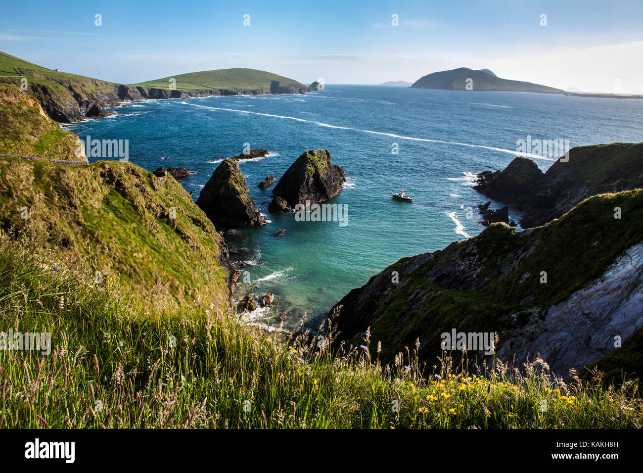 Dingle Peninsula landscape and ocean, blue sky, Ireland countryside ...