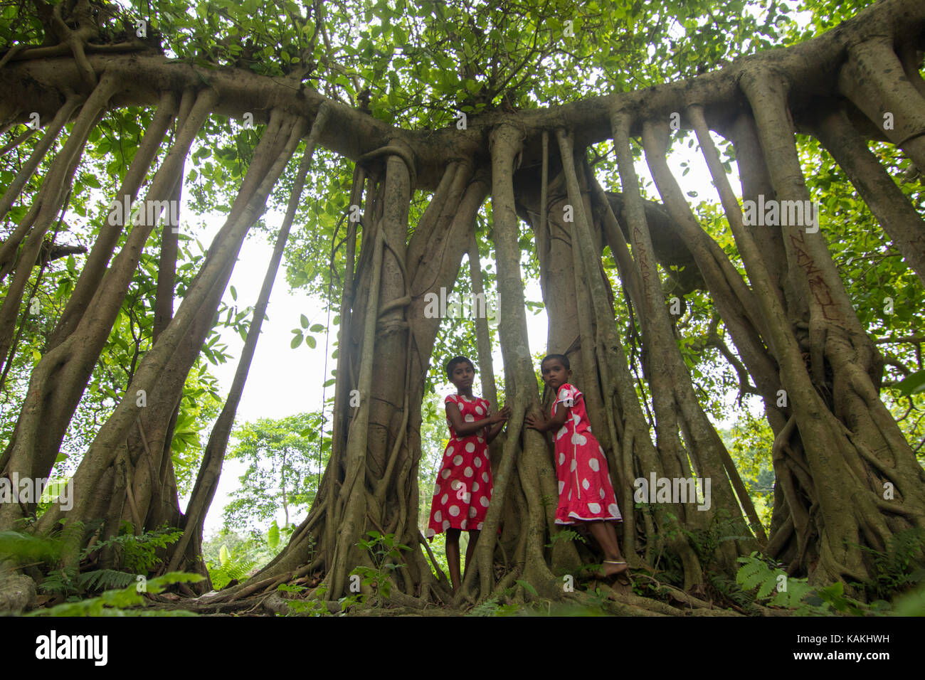Female Girl Banyan High Resolution Stock Photography and Images - Alamy