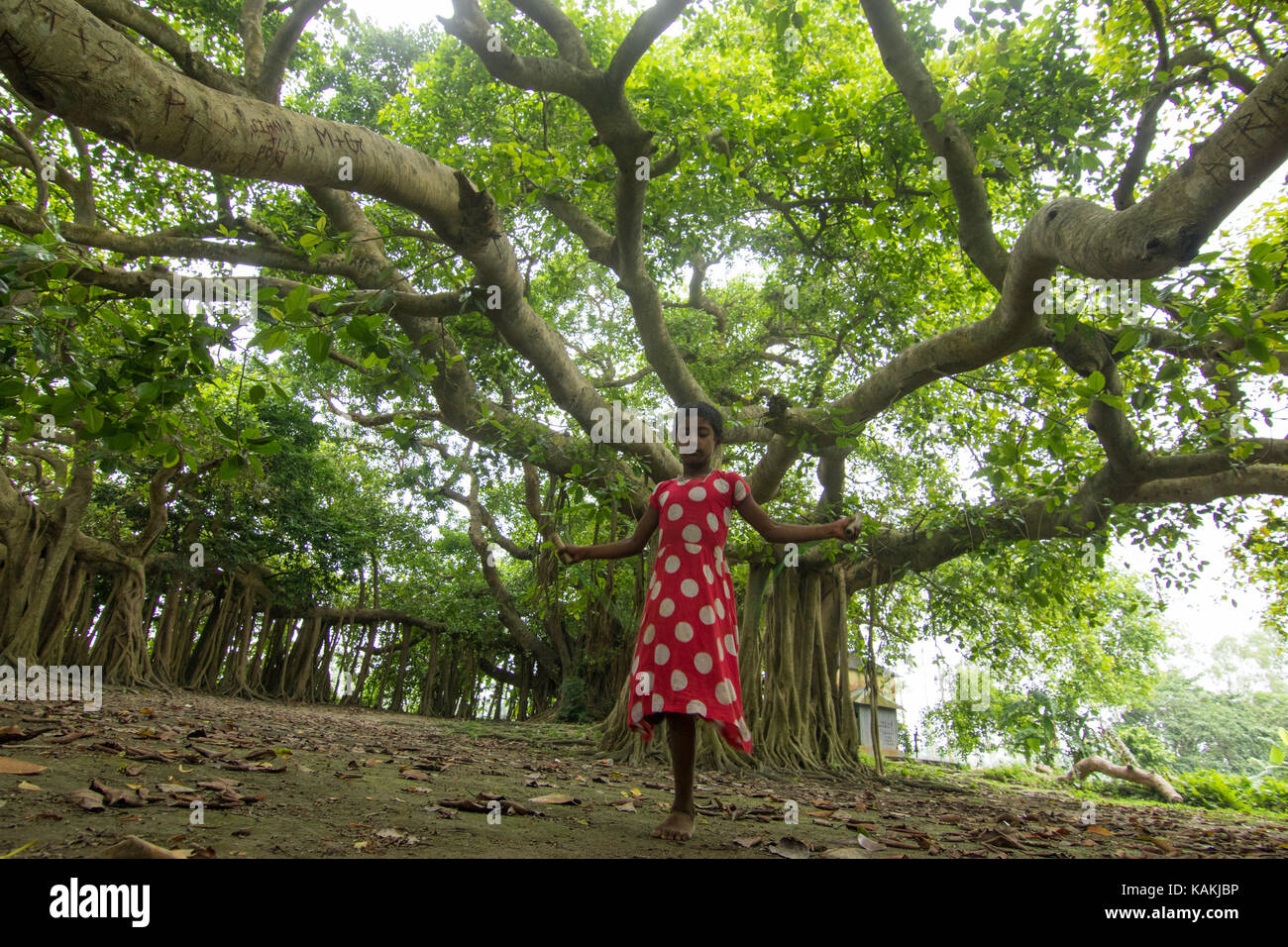 Female girl banyan hi-res stock photography and images - Alamy