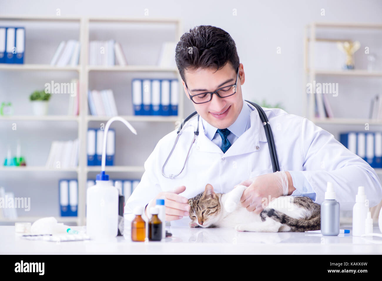Cat visiting vet for regular check up Stock Photo - Alamy