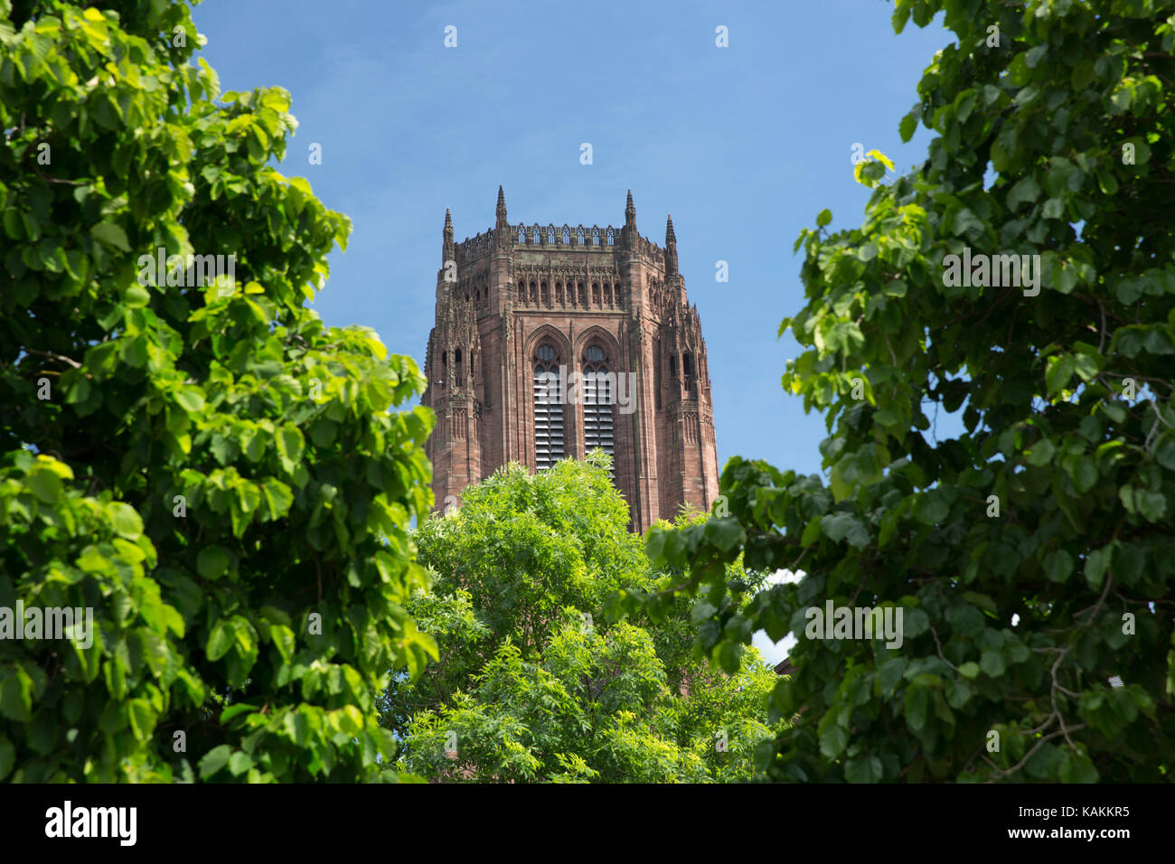 Liverpool Cathedral, Church of England Cathedral of the Diocese of ...