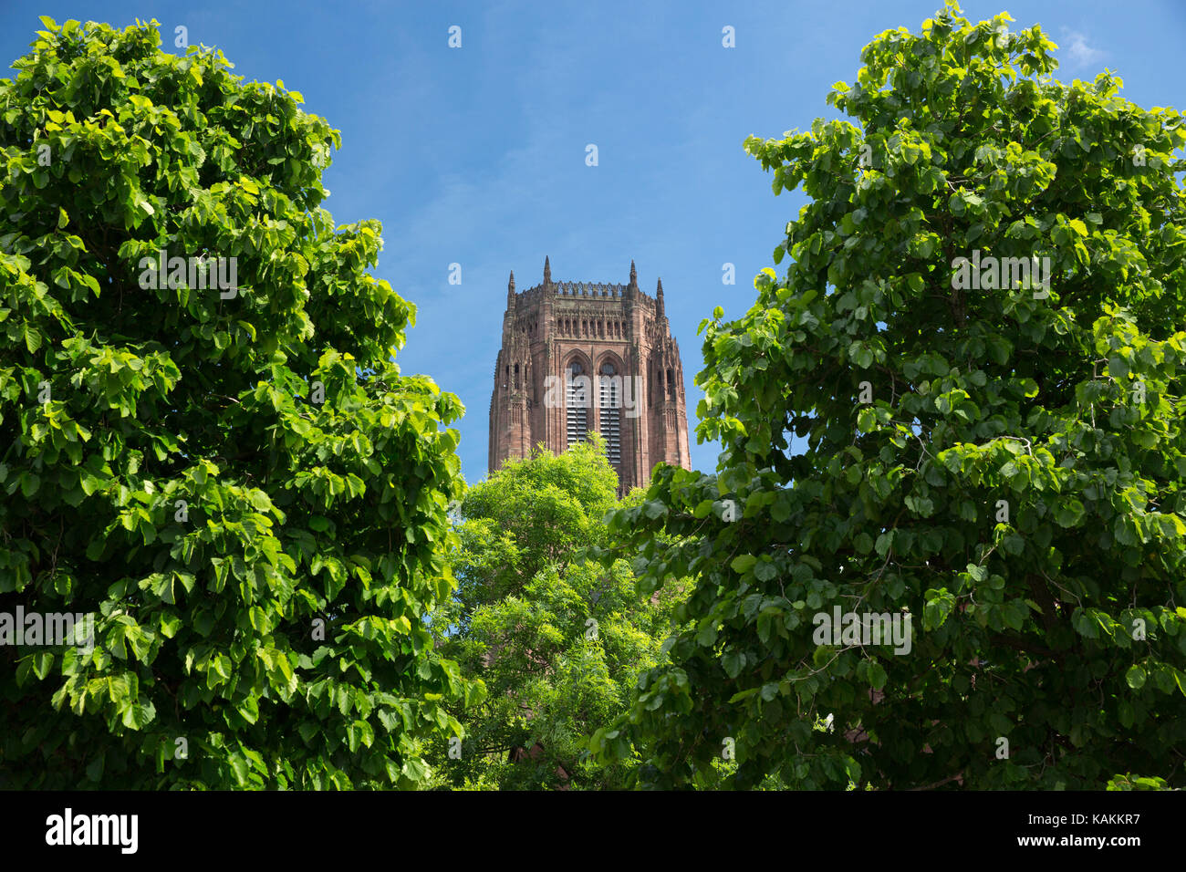 Liverpool Cathedral, Church of England Cathedral of the Diocese of ...