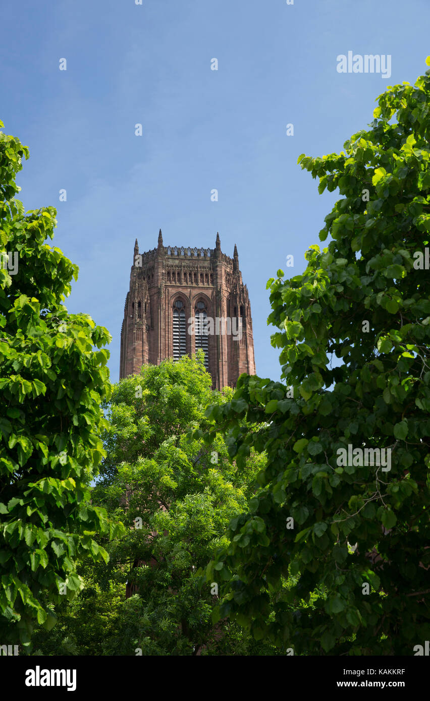 Liverpool Cathedral, Church of England Cathedral of the Diocese of ...