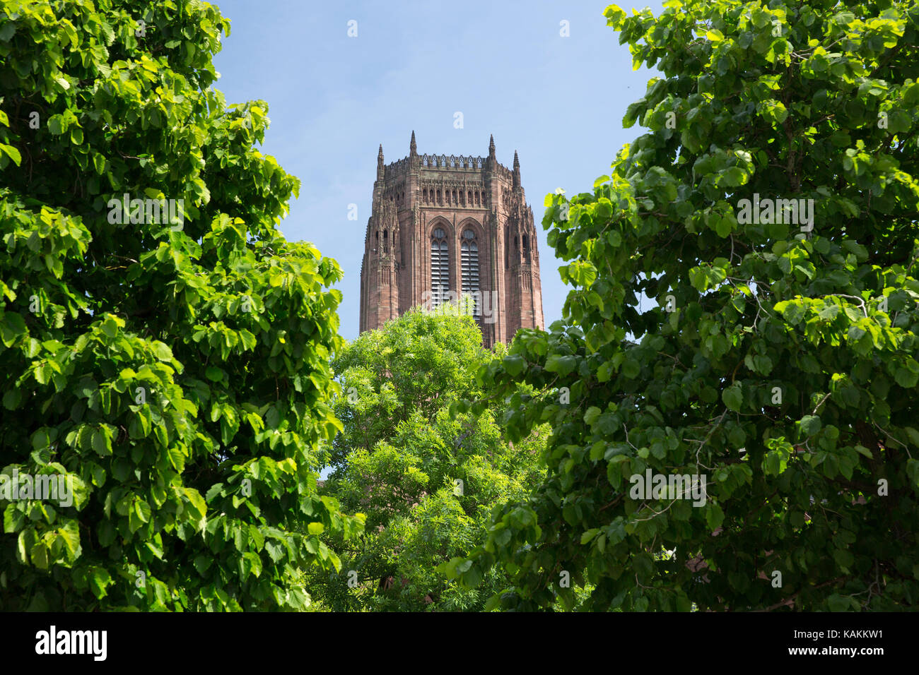 Liverpool Cathedral, Church of England Cathedral of the Diocese of ...