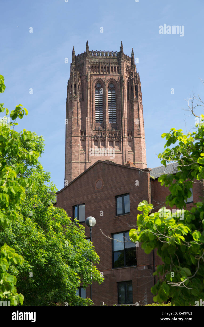 Liverpool Cathedral, Church of England Cathedral of the Diocese of ...