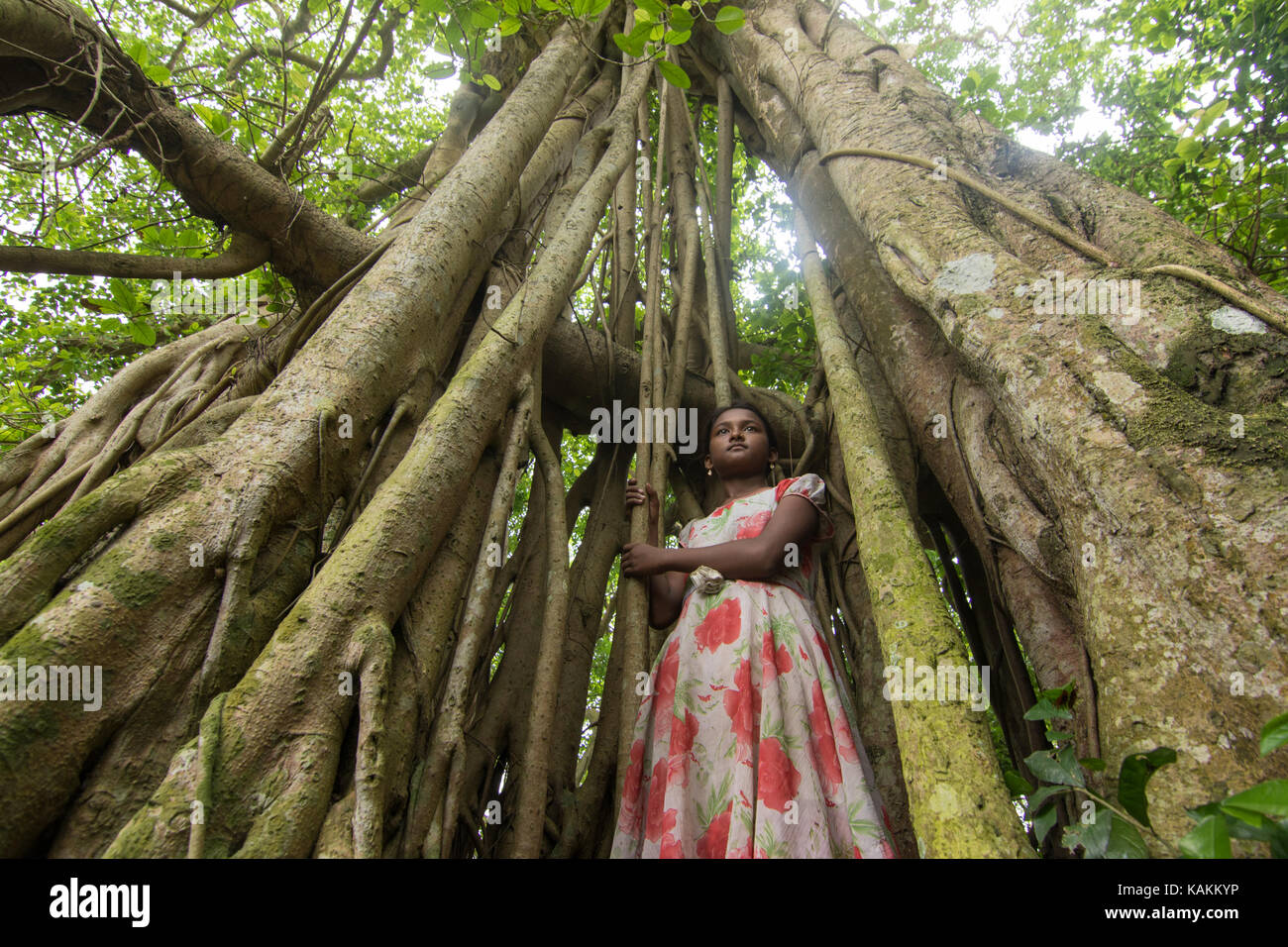 Female Girl Banyan High Resolution Stock Photography and Images - Alamy