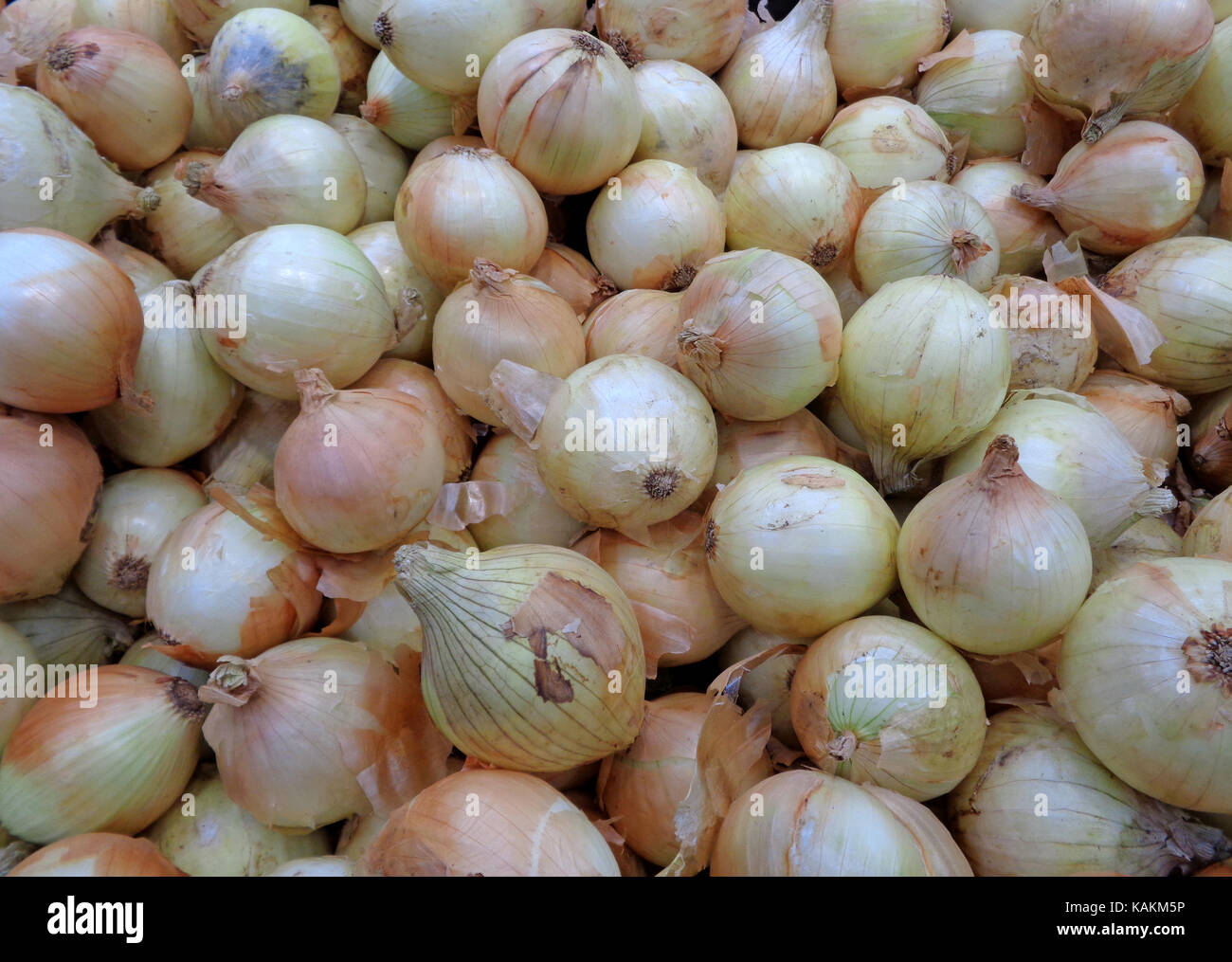 Heap of of Fresh Onions at the Local Market, for Background Stock Photo ...