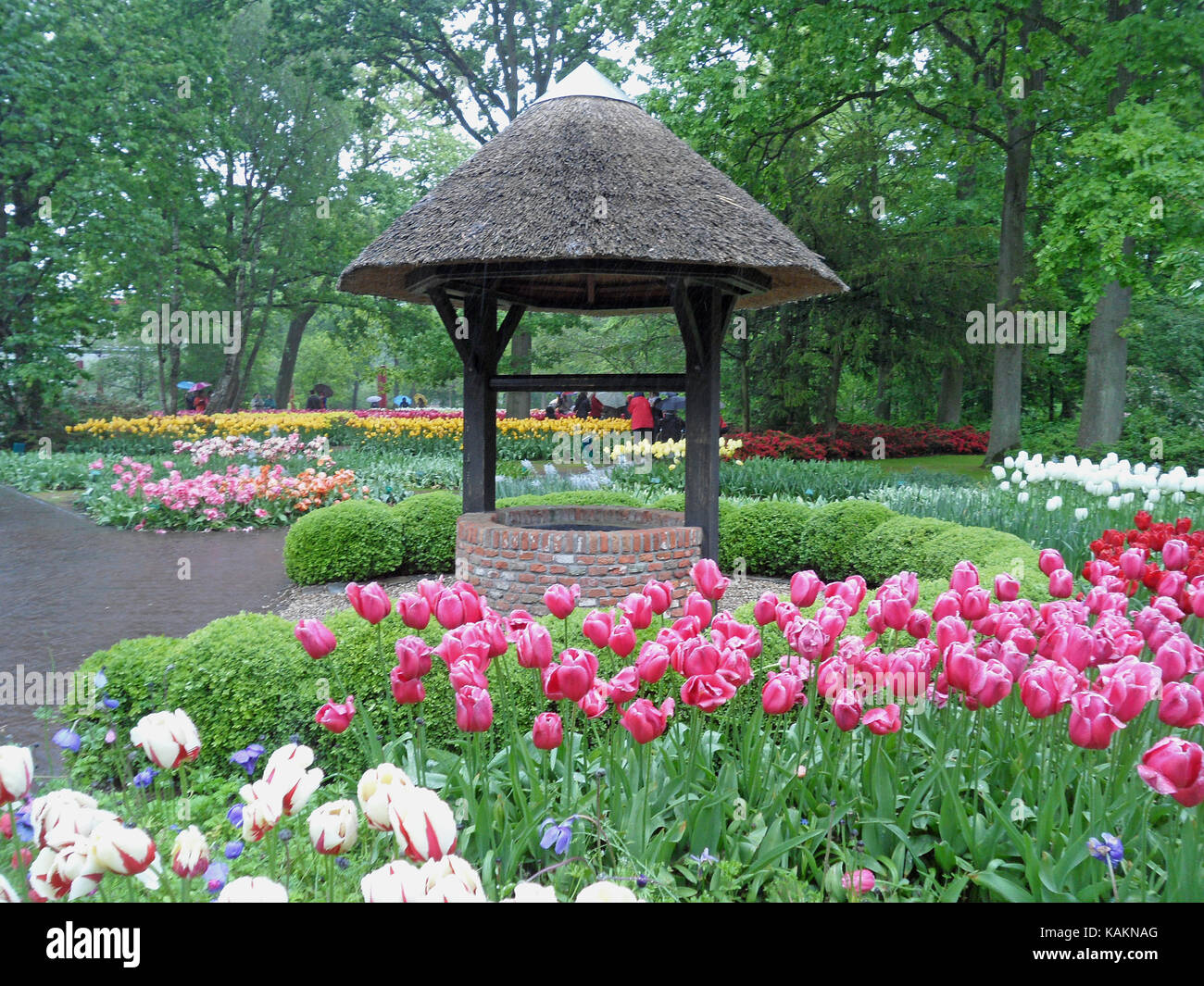 Water Well amongst the Multi-color of Spring, Keukenhof, Netherlands ...