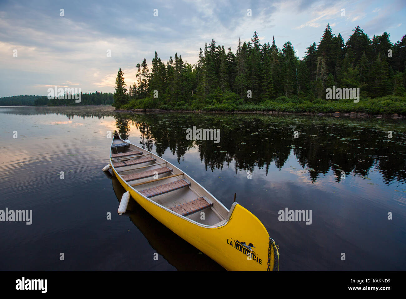 Canoe rabaska in Mauricie National Park Stock Photo - Alamy